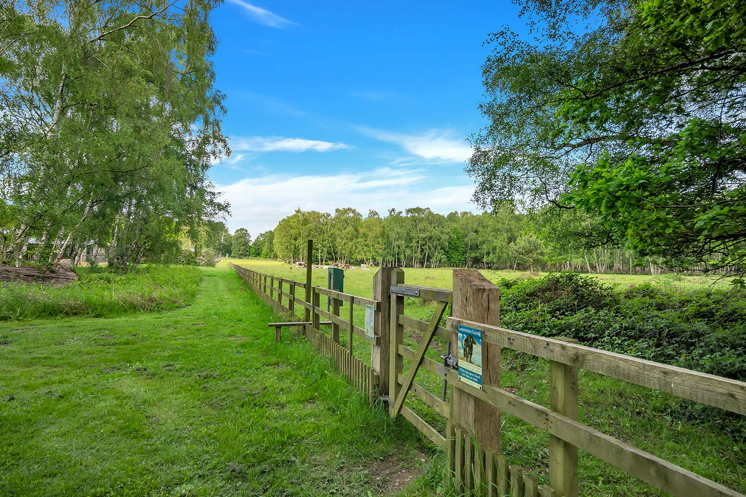 Why Choose Sherwood Hideaway | Lodge Holidays | Sherwood